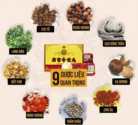 An Cung ngưu hoàng hoàn [8 Lưu Ý quan trọng nhất khi dùng] - Vật lý trị ...